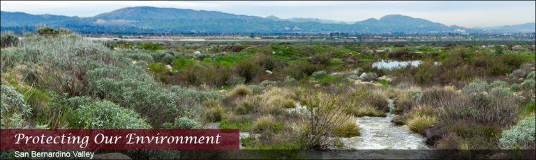 "A non-profit, non-partisan corporation of public spirited leaders who ...